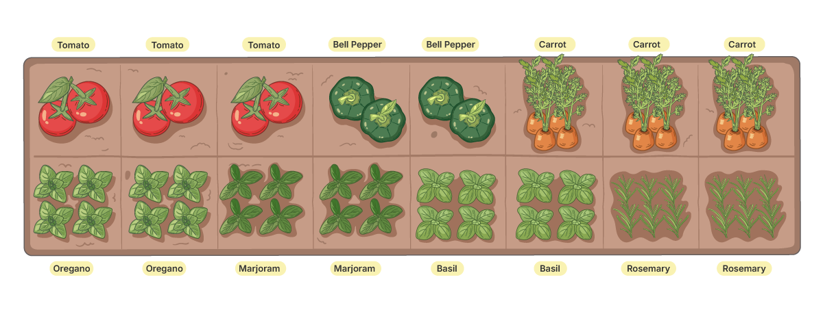 Raised Bed Garden Layout: Design Tips & Planting Plans - Craftcamp™